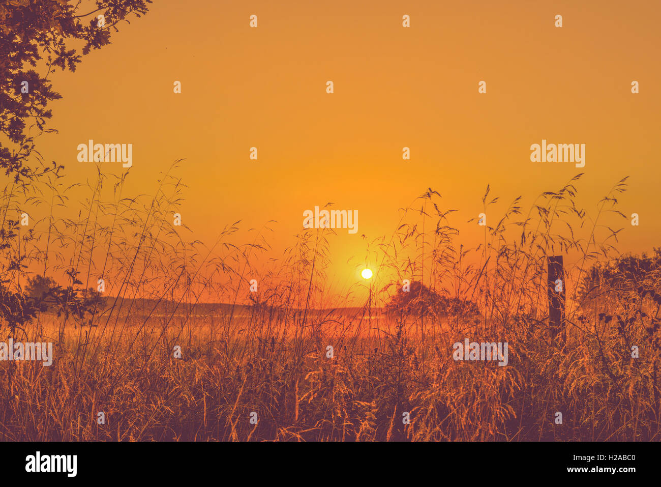 Sunrise in a countryside mist, early in the morning Stock Photo - Alamy