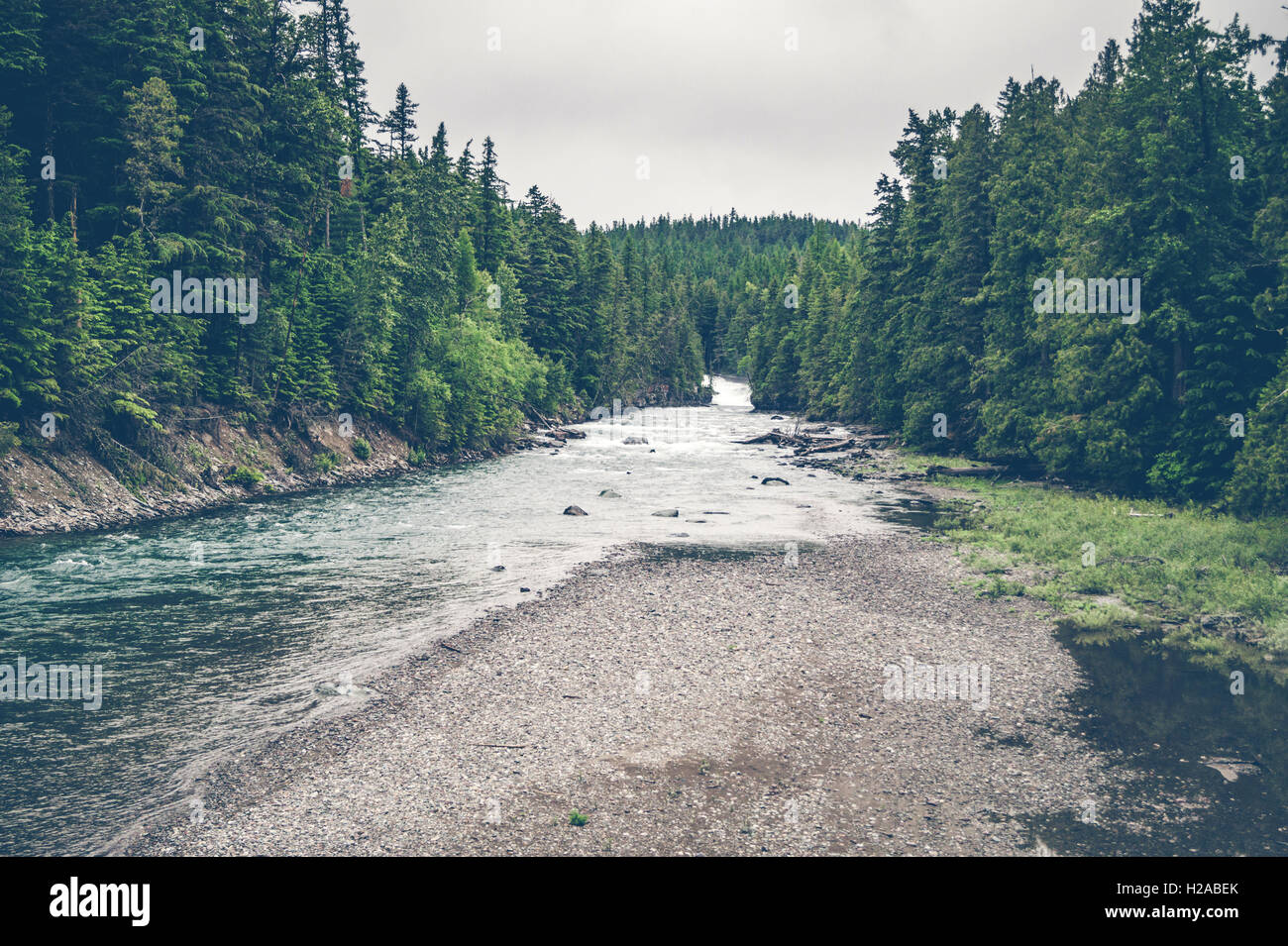 Waterfall river surrounded trees grass hi-res stock photography and ...