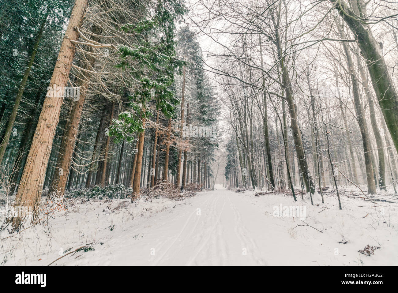 Denmark snow scenic hi-res stock photography and images - Alamy