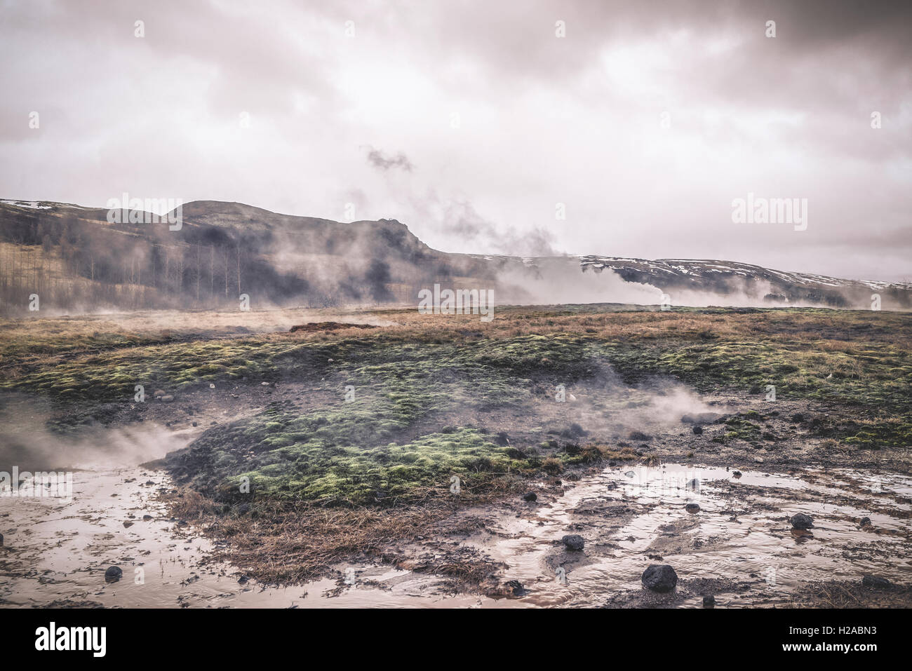 Landscape from Iceland with steamy water on a field Stock Photo - Alamy