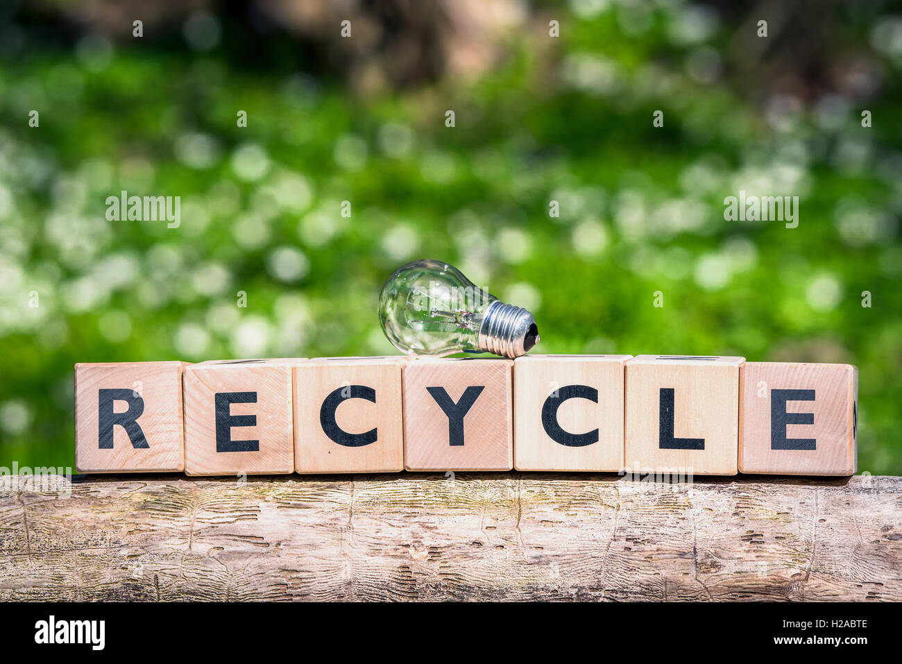 Bulb on a recycle sign in a forest Stock Photo - Alamy