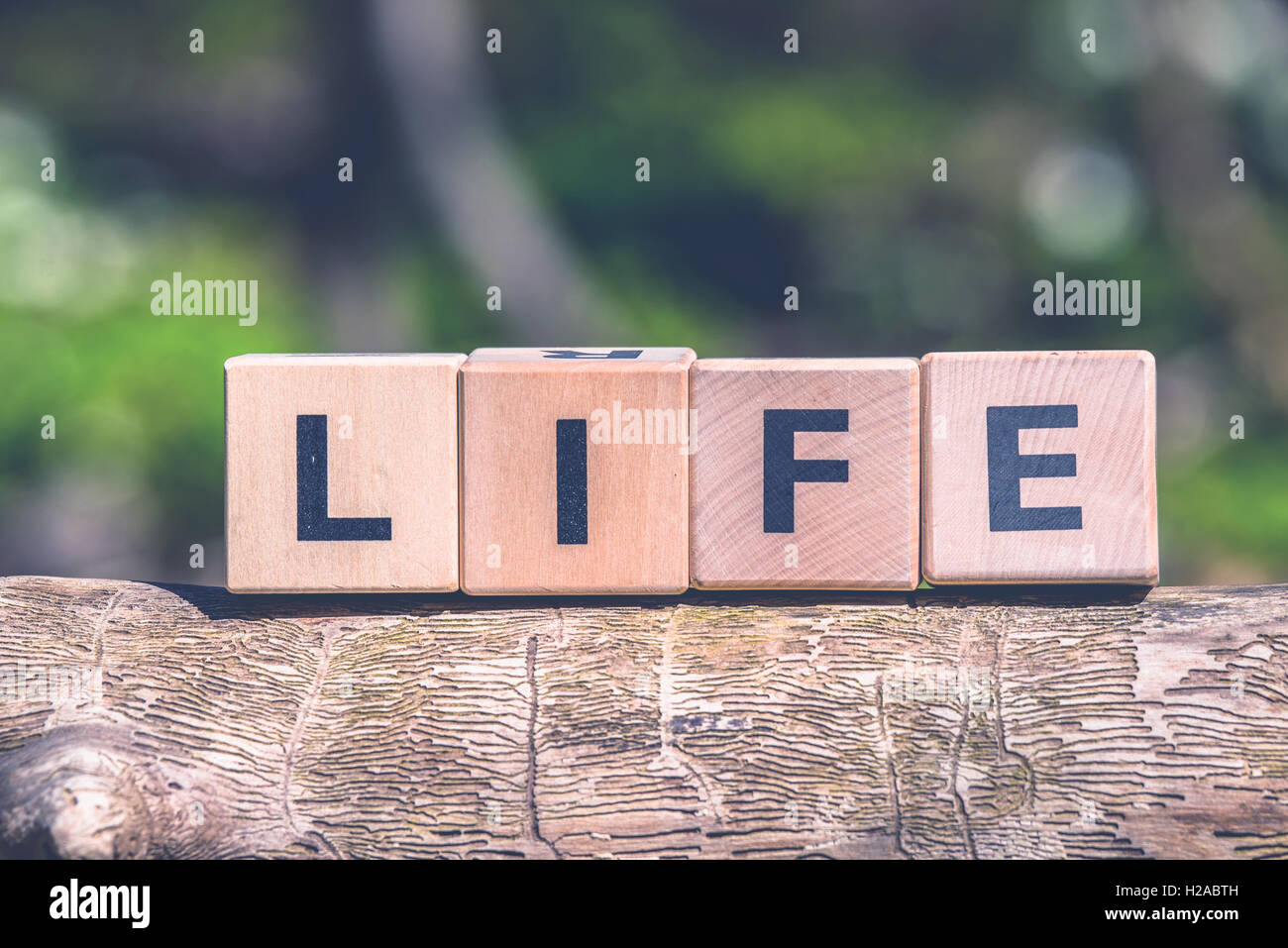Life sign in natural environment in a forest Stock Photo - Alamy
