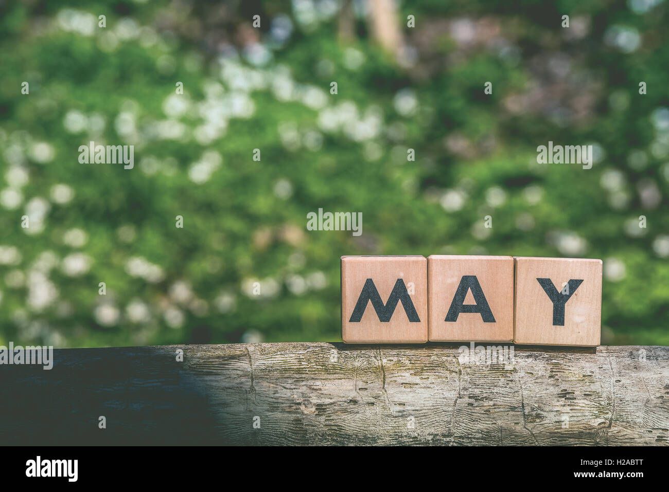 May month label in a green garden in the springtime Stock Photo - Alamy