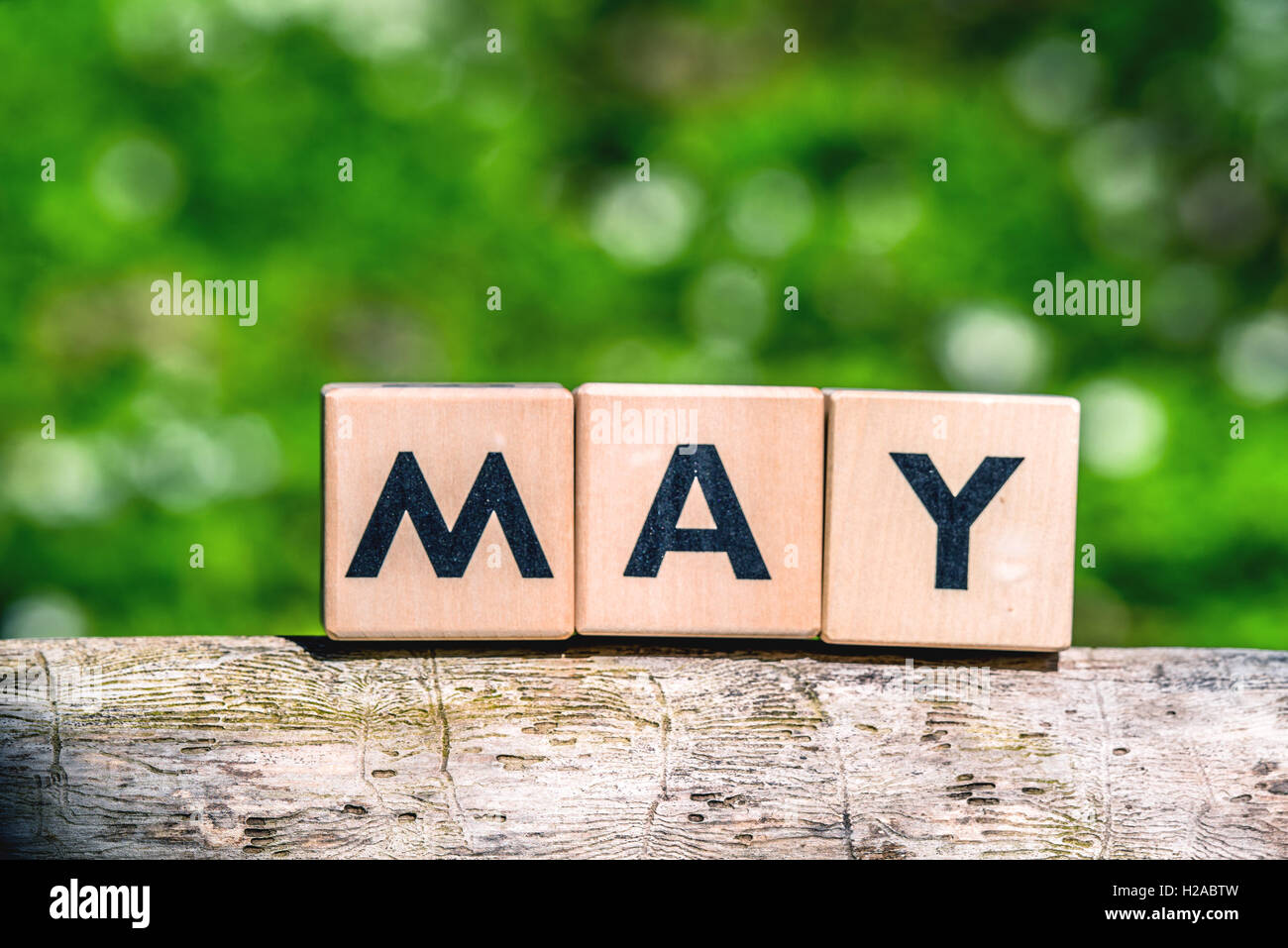 May sign made of wood in a green garden Stock Photo - Alamy