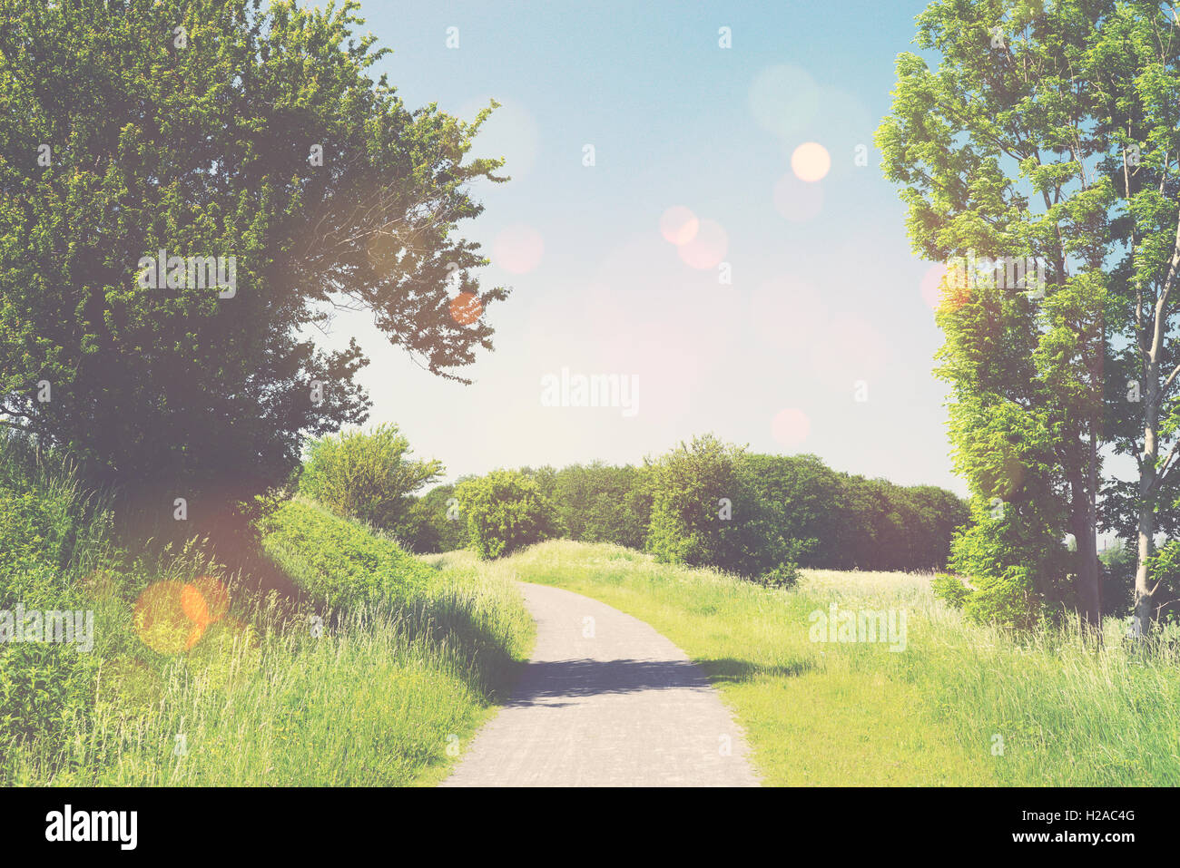 Nature trail in a summer landscape with sunshine Stock Photo - Alamy