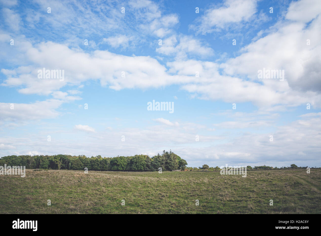 Blue sky over a prairie landscape in the summertime Stock Photo - Alamy