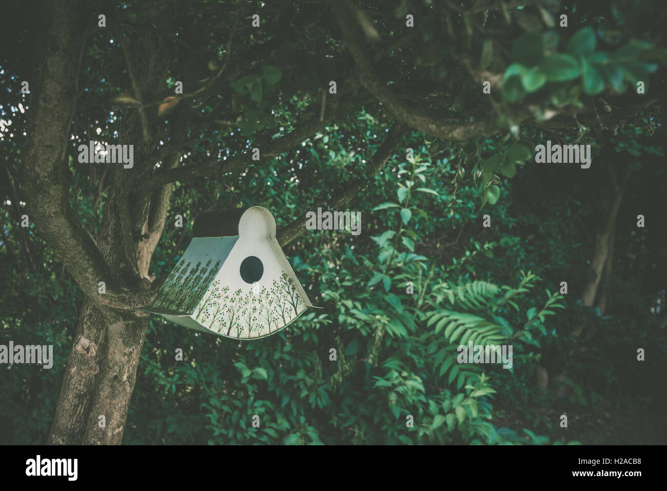 Birdhouse with decorative tree patterns in a garden Stock Photo - Alamy