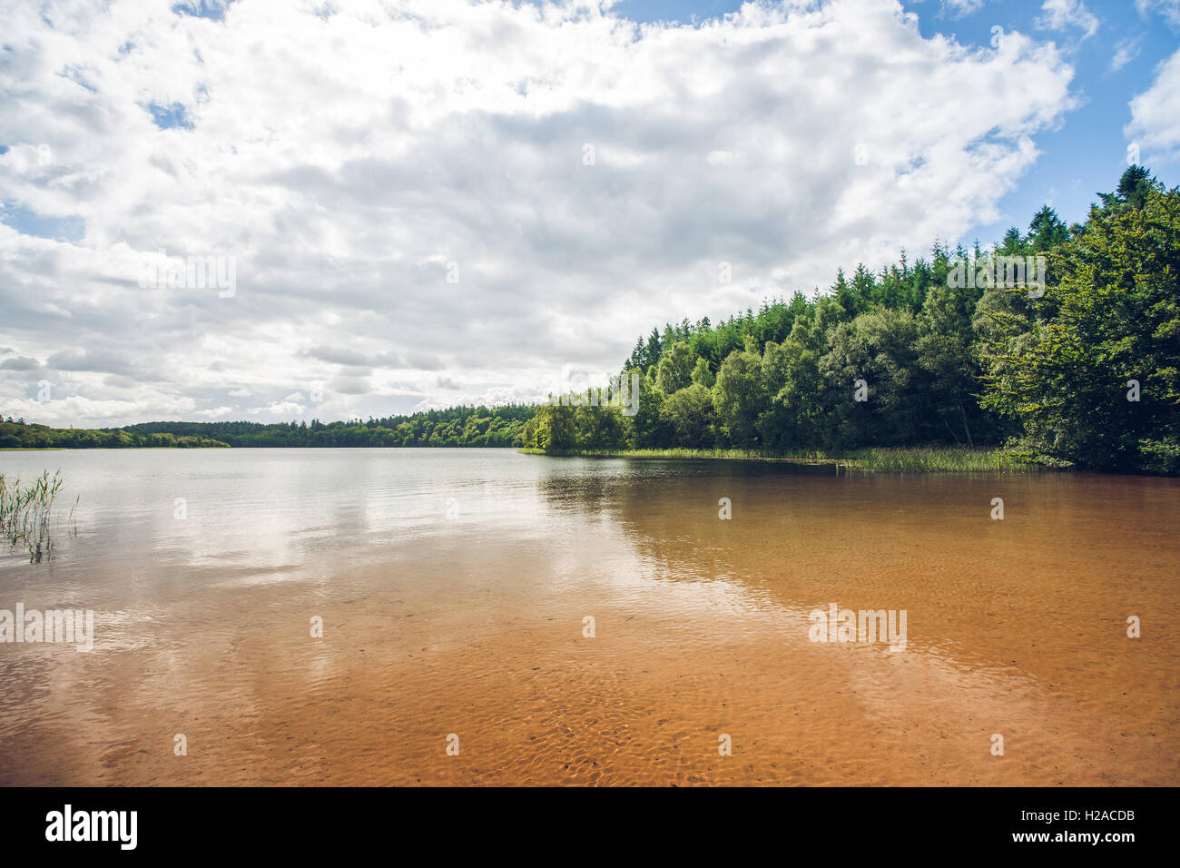 Beautiful lake scenery with green trees and orange sand Stock Photo - Alamy