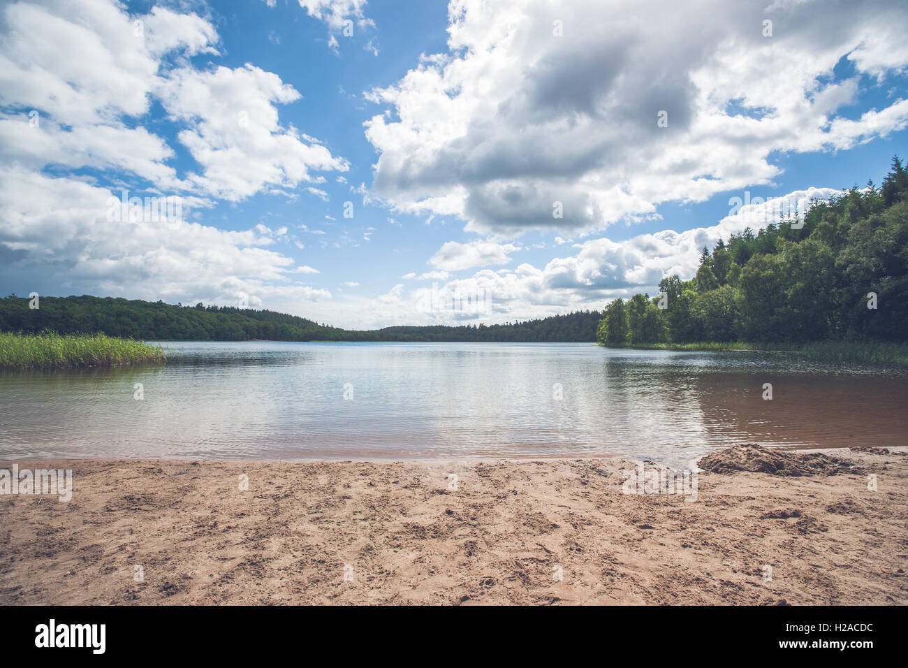 Beautiful forest lake hi-res stock photography and images - Alamy