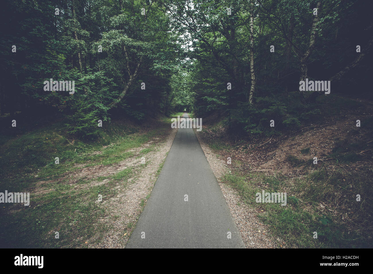 Concrete walk trail hi-res stock photography and images - Alamy