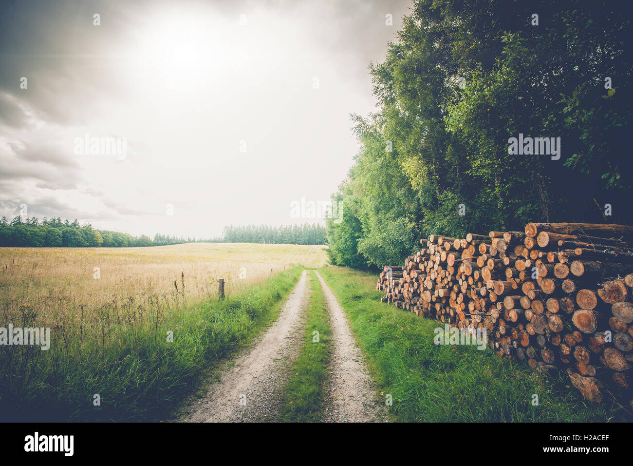 Wooden logs by a roadside in a countryside landscape Stock Photo - Alamy