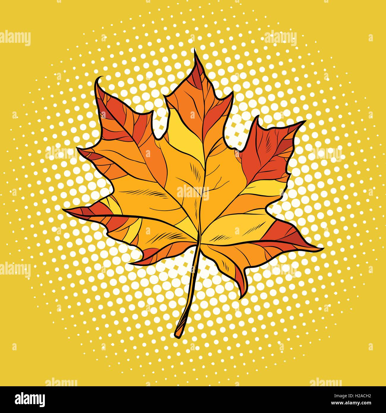 Maple leaf icon in Stock Vector Images - Alamy