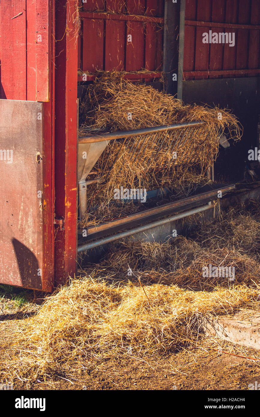 Stable environment hi-res stock photography and images - Alamy