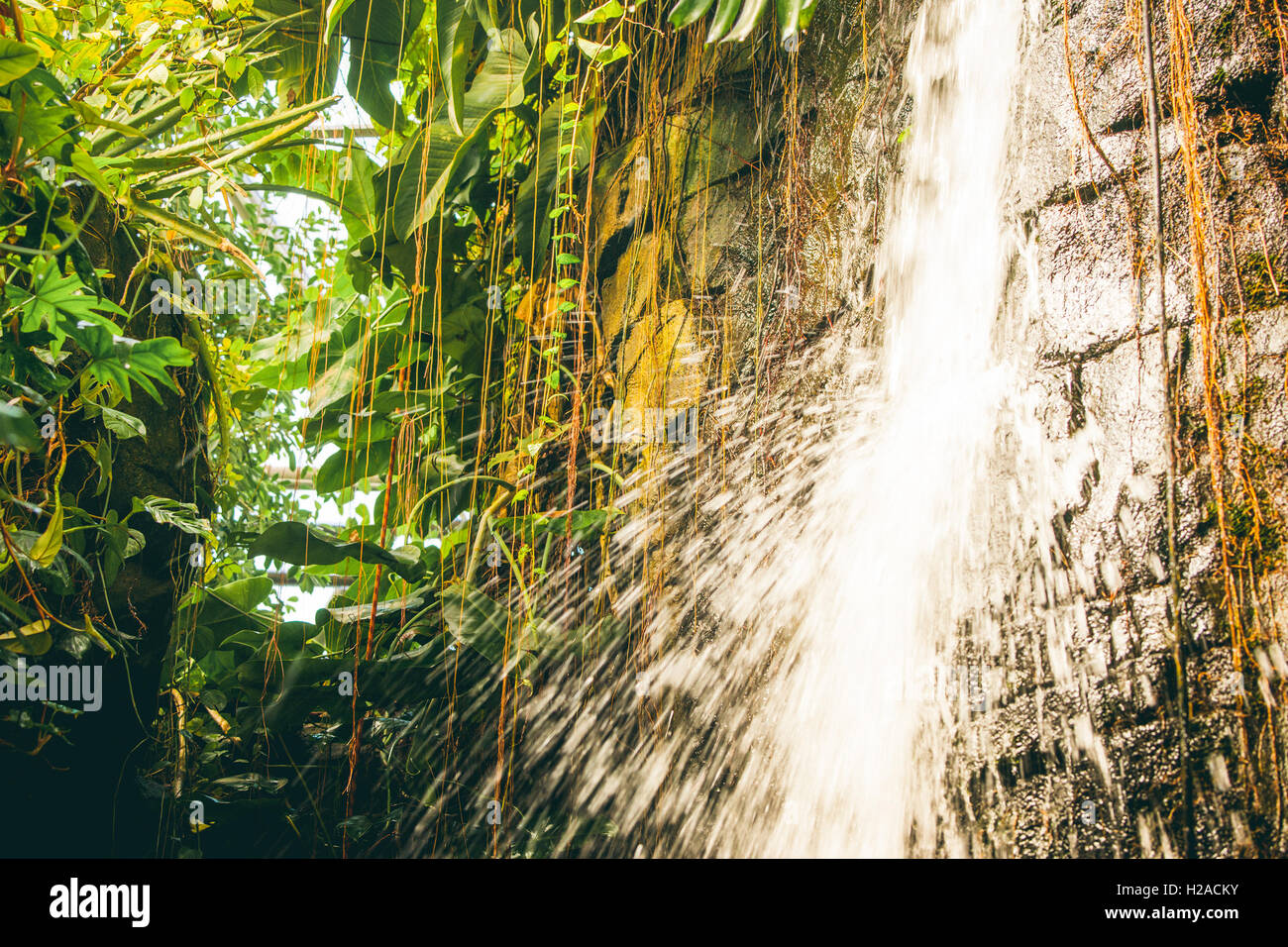 Tropical waterfall in a rainforest with green vegetation and plants ...