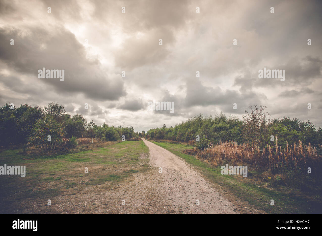 Long nature trail in cloudy weather in the fall Stock Photo - Alamy