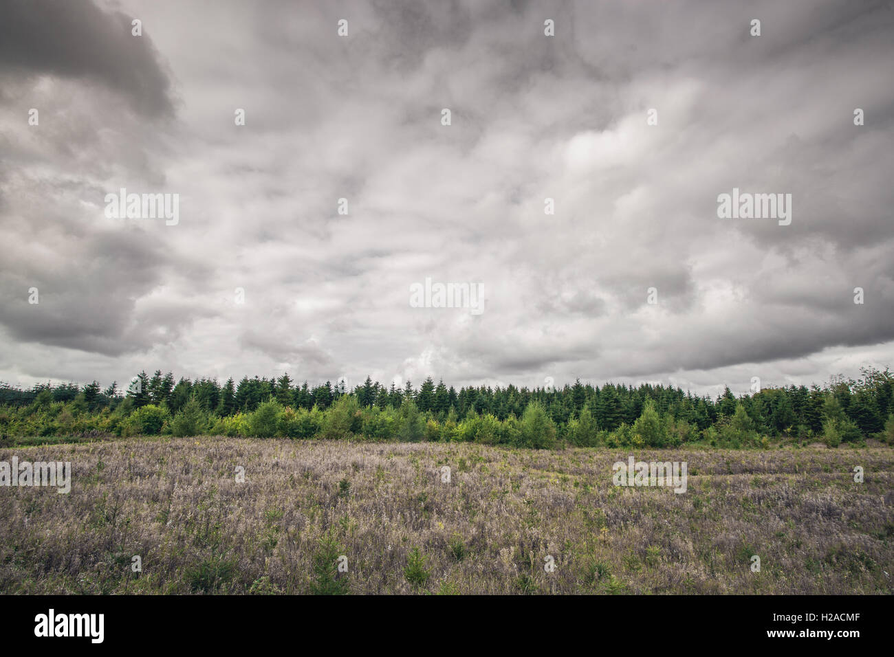 Grey cloudy effect hi-res stock photography and images - Alamy