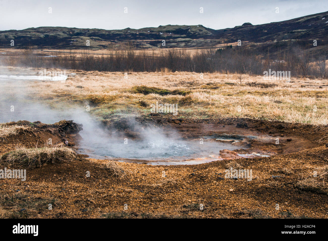 Boiling water in a puddle in icelandic nature Stock Photo - Alamy