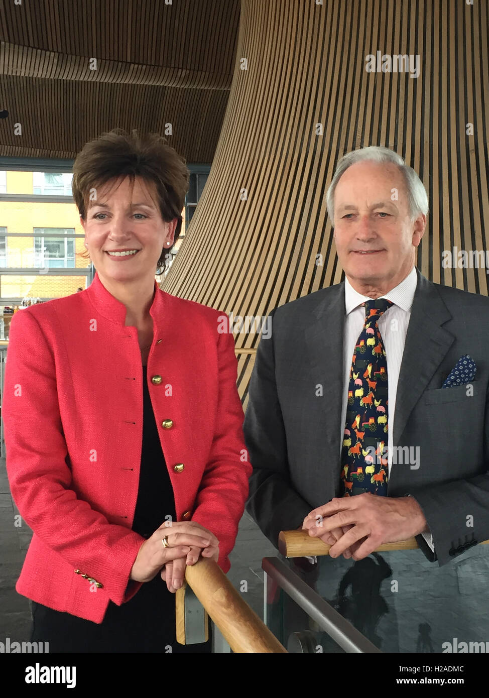 Leader diane james welsh assembly hi-res stock photography and images ...
