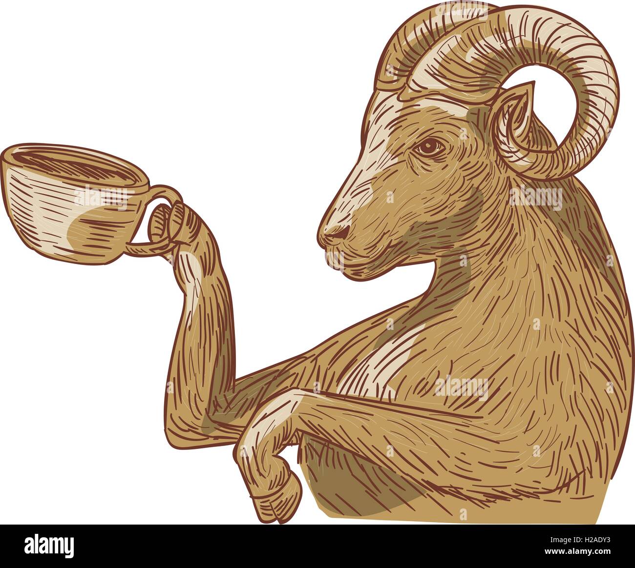 Ram Goat Drinking Coffee Drawing Stock Vector Image & Art - Alamy