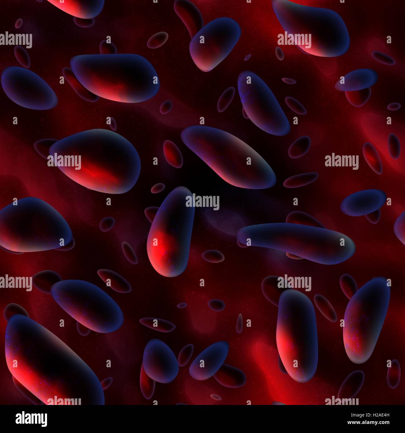 Blood Cells background. Seamless pattern Stock Photo - Alamy