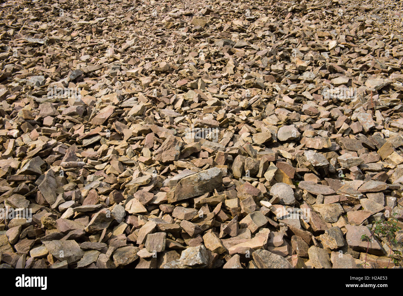 Close up of Granite Scree as a Textured Background Stock Photo - Alamy