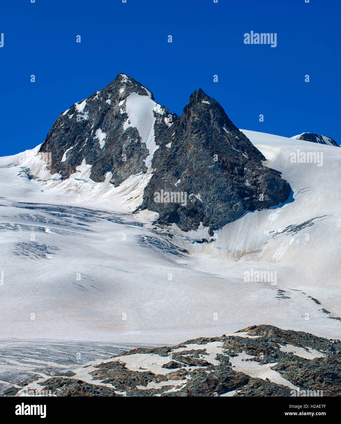 La vedette hi-res stock photography and images - Alamy