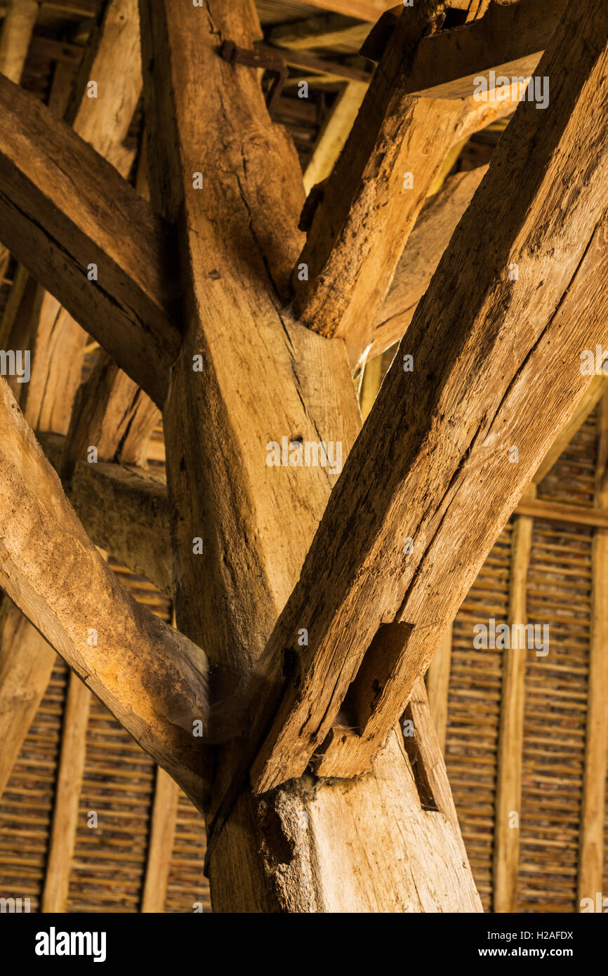 Interior of Barley Barn at Cressing Temple Barns Showing Oak ...