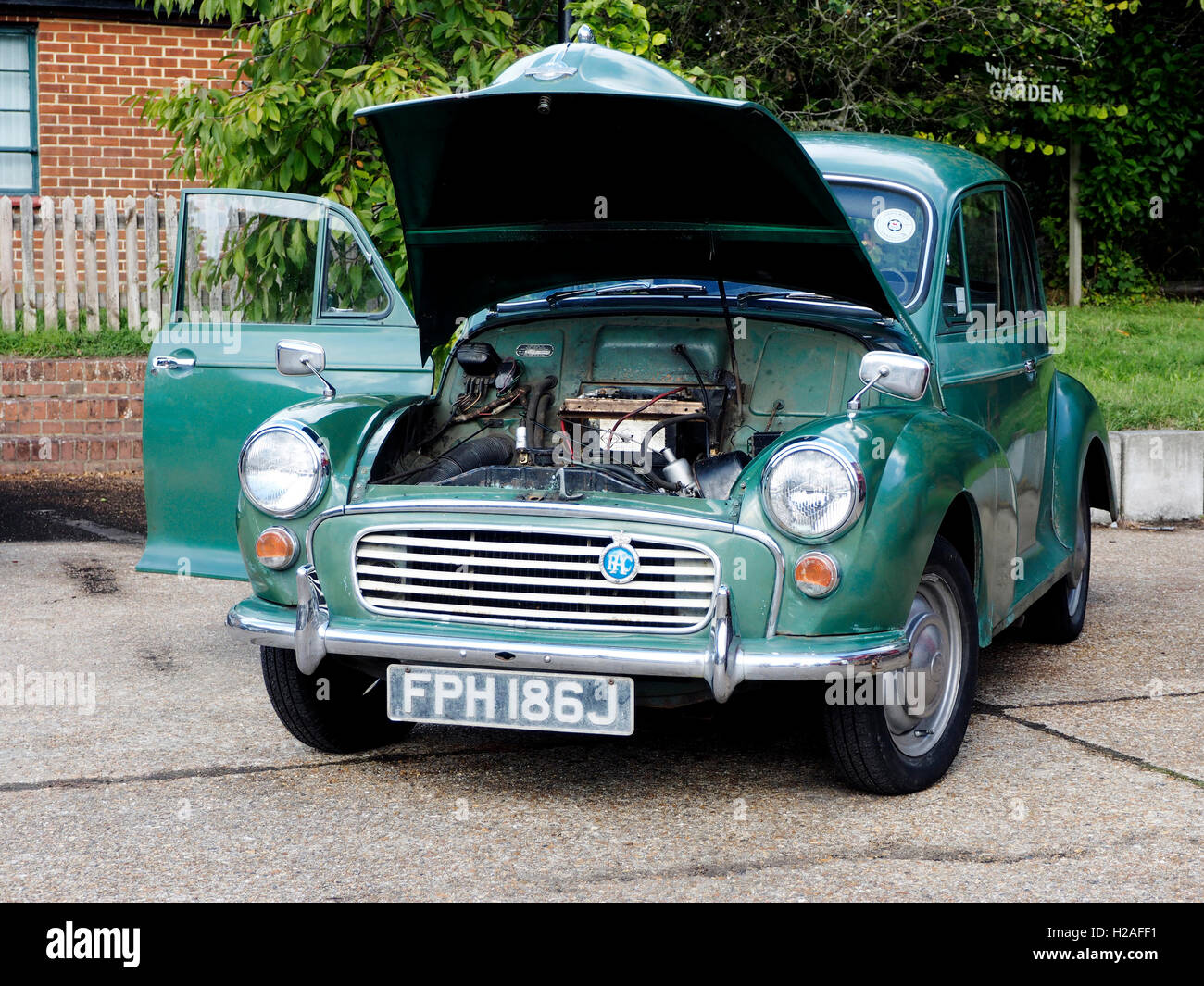 A late 1960's Morris 1000 saloon car with bonnet open showing the ...