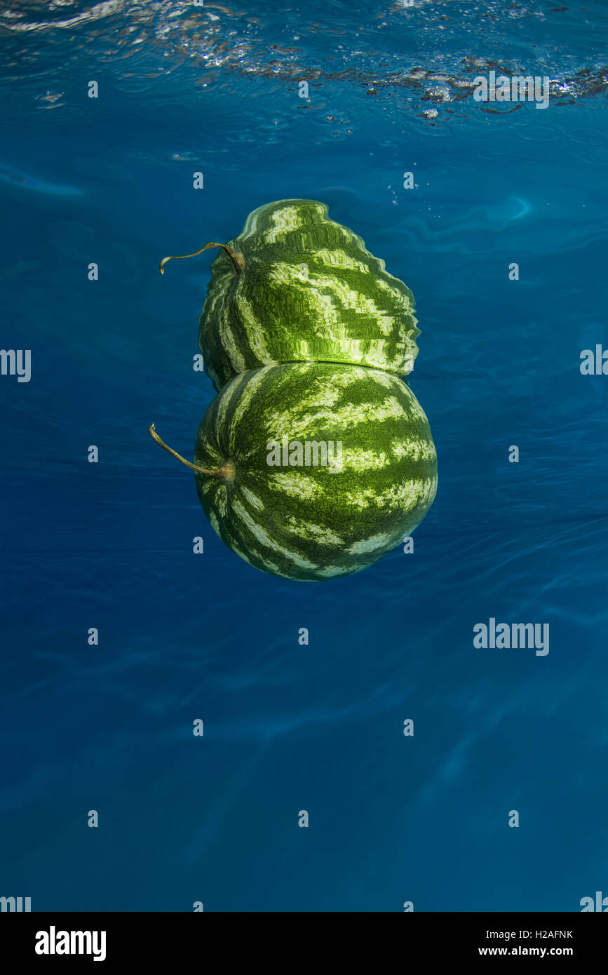 watermelon splashing in blue water Stock Photo - Alamy