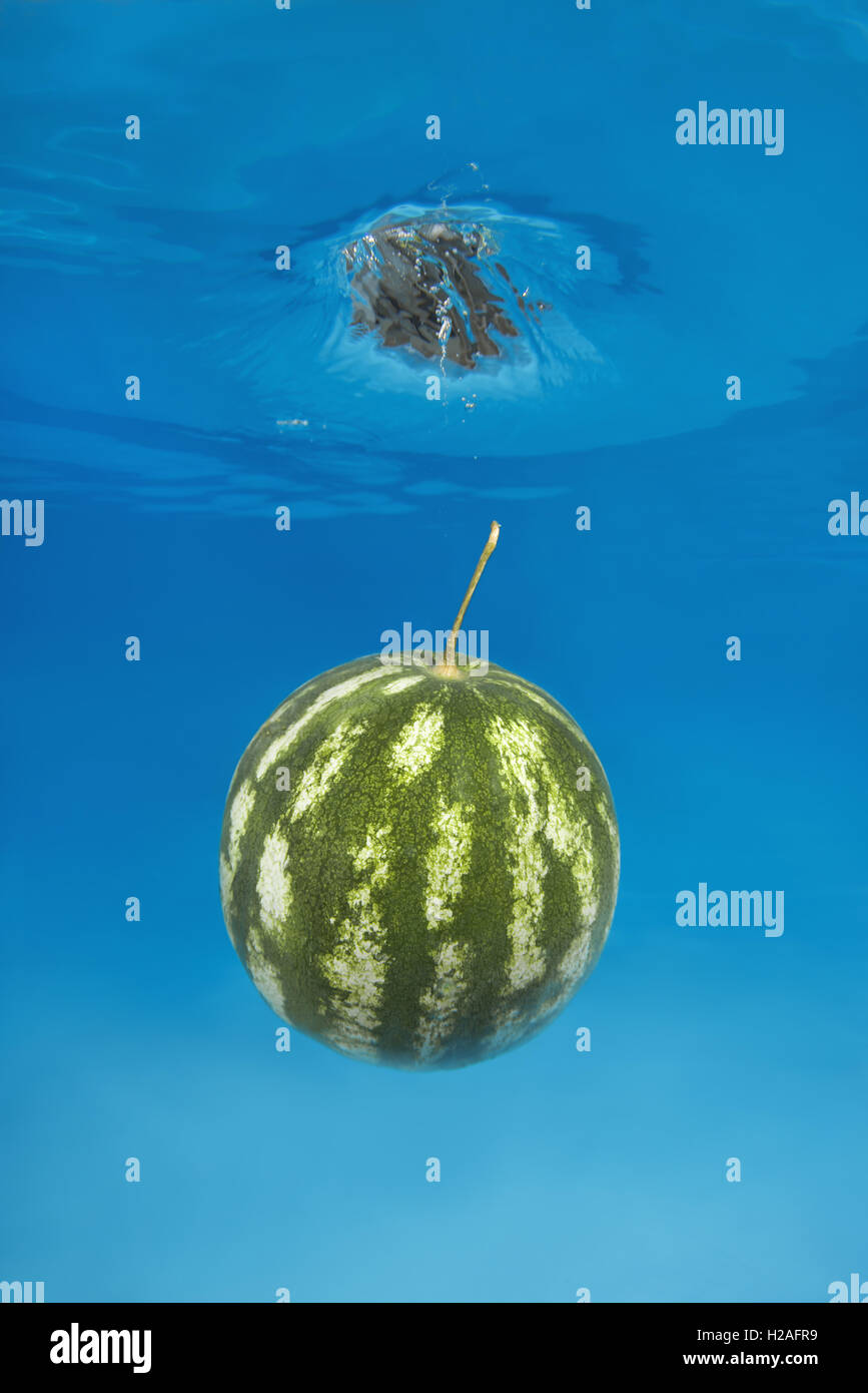 watermelon splashing in blue water Stock Photo - Alamy