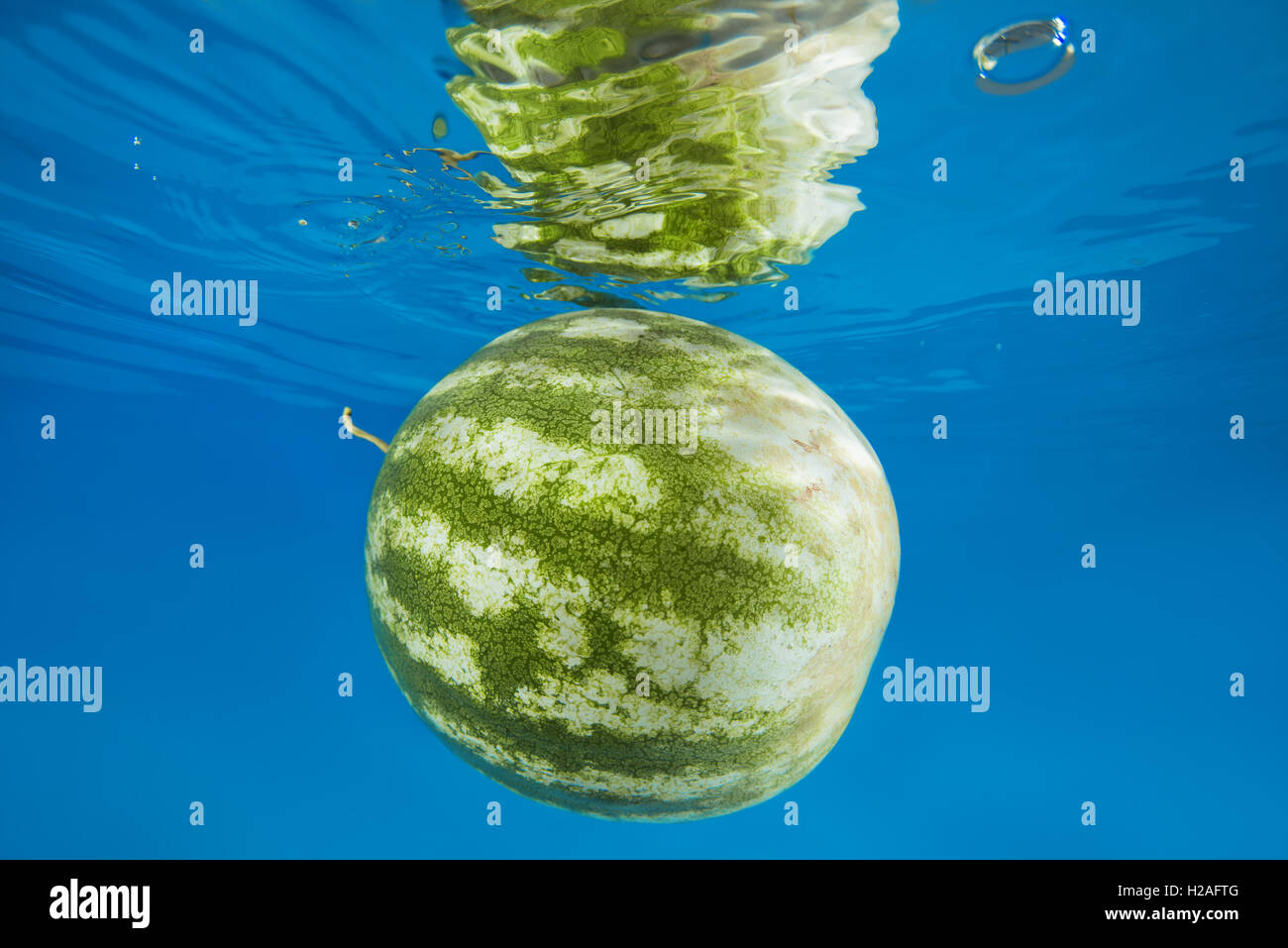Underwater watermelon hi-res stock photography and images - Alamy