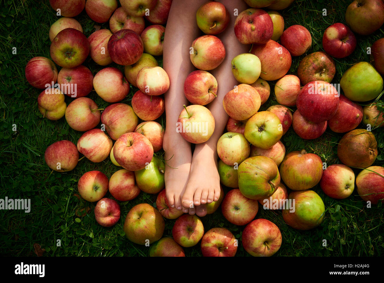 Legs hidden by grass hi-res stock photography and images - Alamy