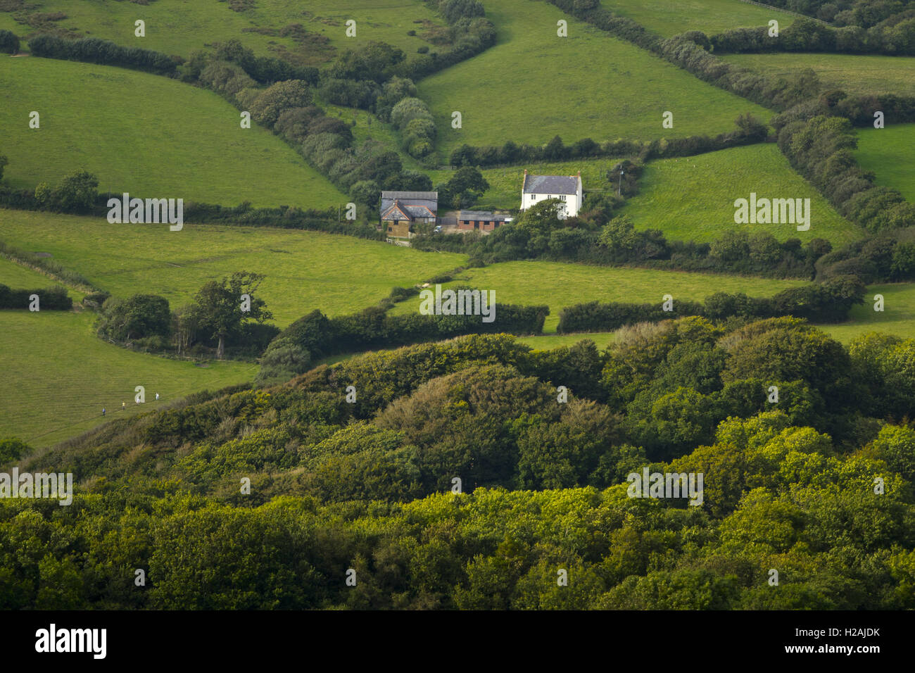 Dorset farm fields Stock Photo - Alamy
