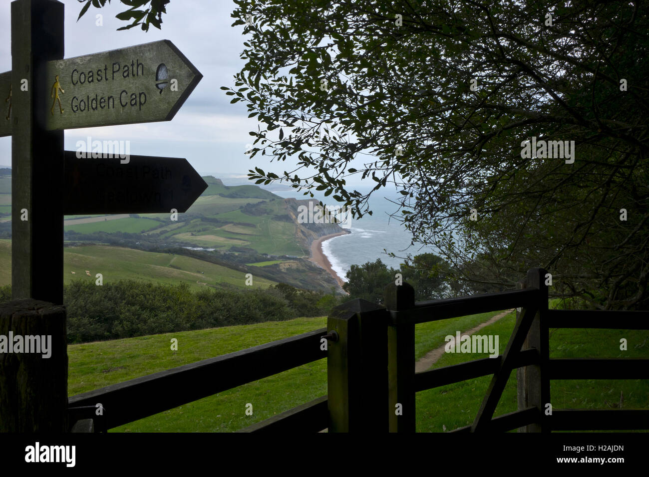 Golden cap dorset sign hi-res stock photography and images - Alamy