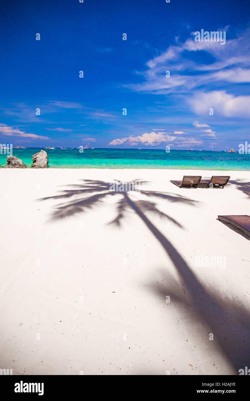Big shadow palm tree on the white sand beach of Boracay Stock Photo - Alamy