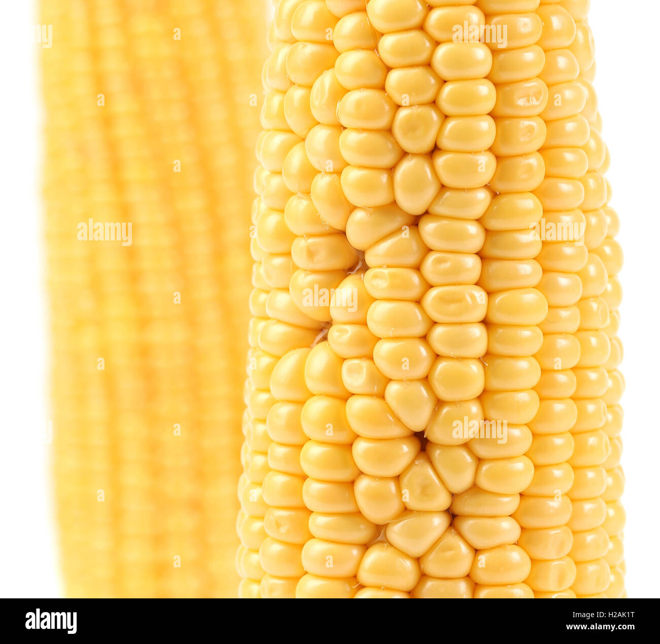 Grains of ripe corn Stock Photo - Alamy