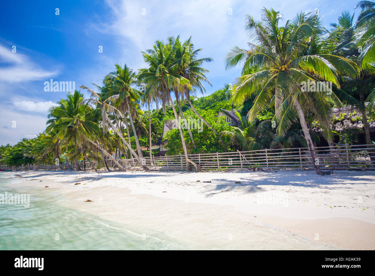 Tropical beach with beautiful palms and white sand, Philippines Stock ...