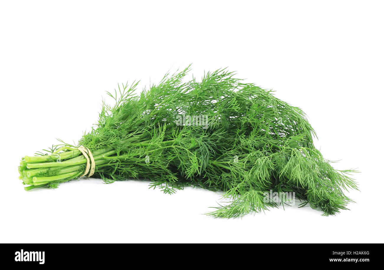 Bunch fresh dill herb Stock Photo - Alamy