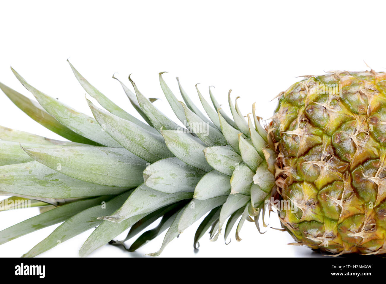 Fresh whole pineapple. Close up Stock Photo - Alamy