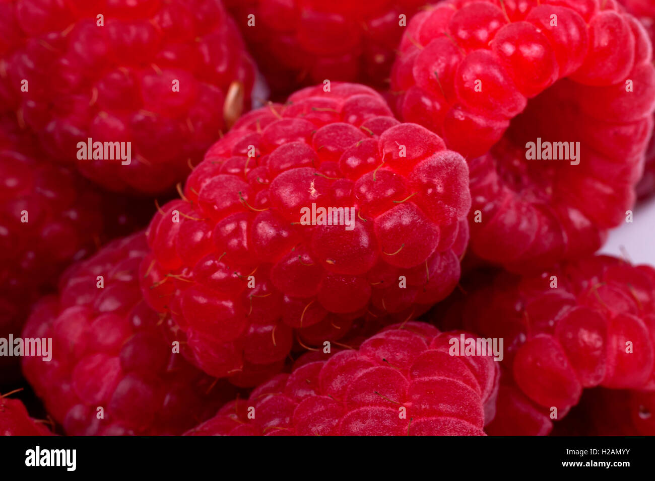 raspberries fruits on white background Stock Photo - Alamy