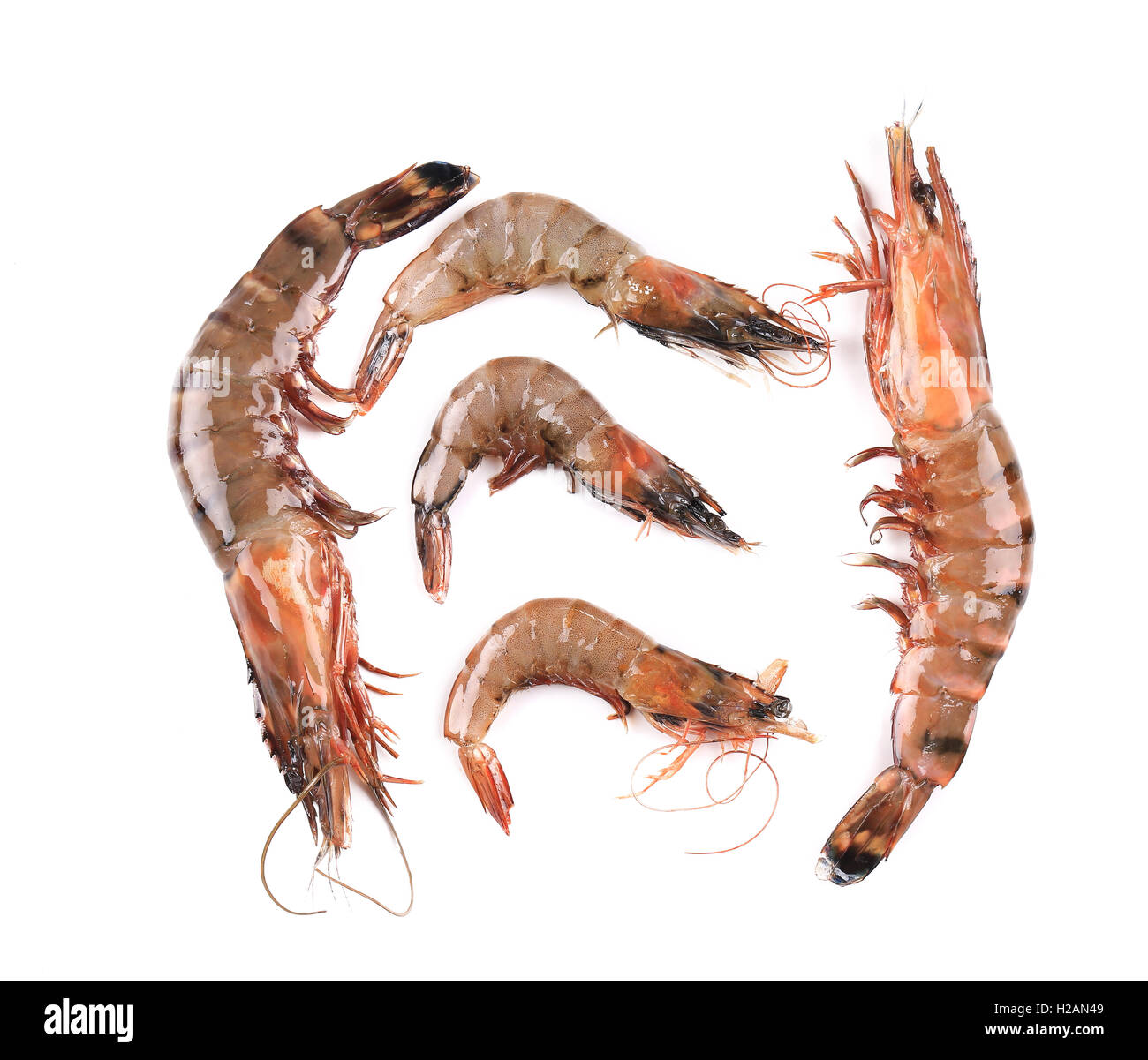 Some raw shrimps with different size Stock Photo - Alamy