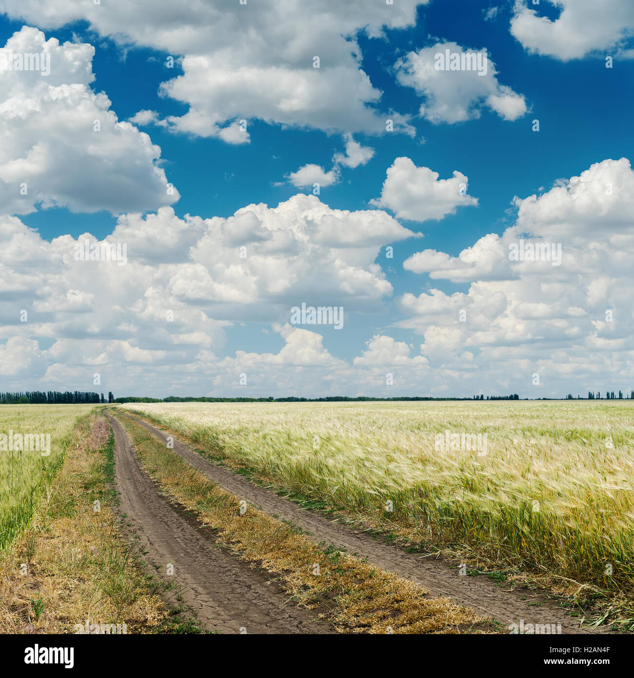 dramatic clouds over road in agriculture field Stock Photo - Alamy