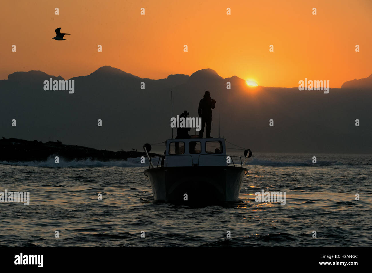 Boating at sunset Stock Photo - Alamy
