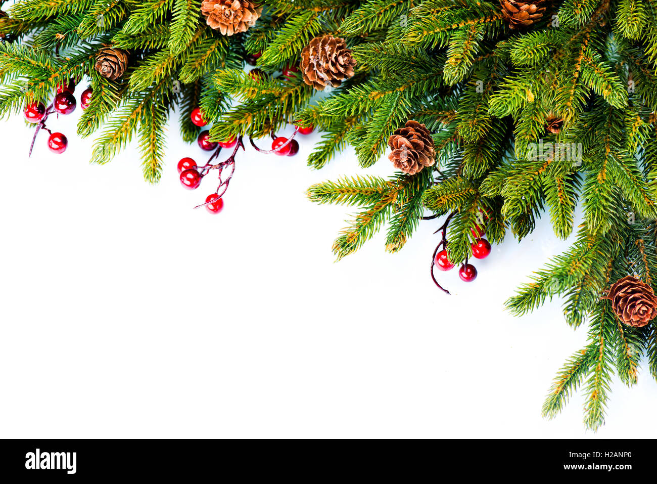 Christmas. Evergreen Fir tree Border Design Stock Photo - Alamy