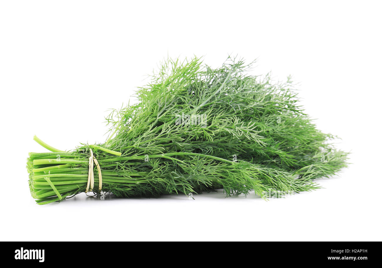 Bunch of fresh dill Stock Photo - Alamy