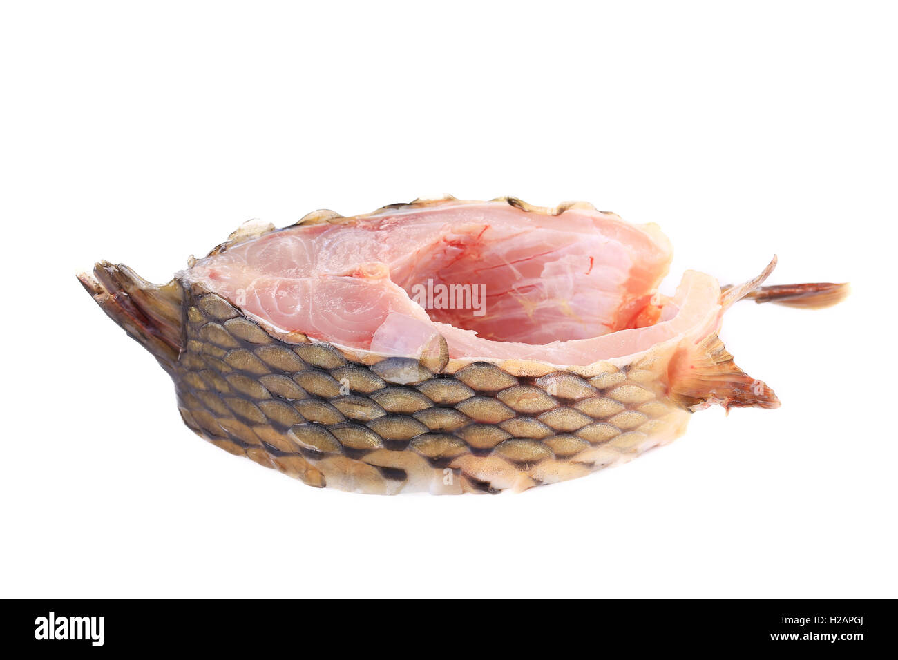 Close up carp Cut Out Stock Images & Pictures - Alamy
