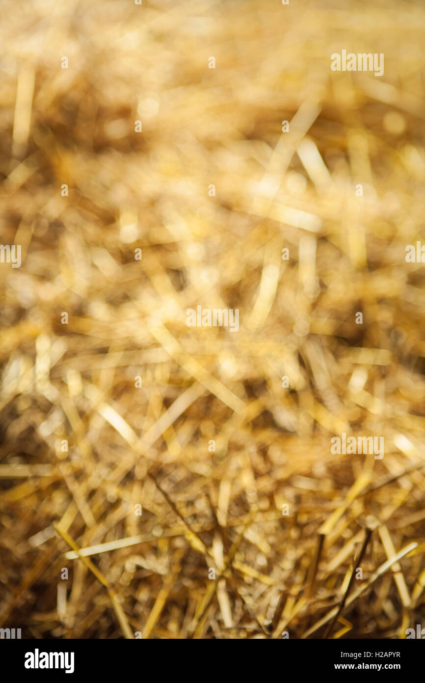 Artistic celebrations hi-res stock photography and images - Alamy