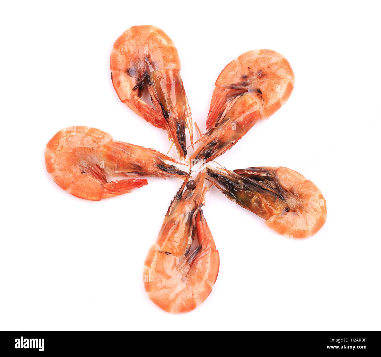 Orange shrimp flower Cut Out Stock Images & Pictures - Alamy