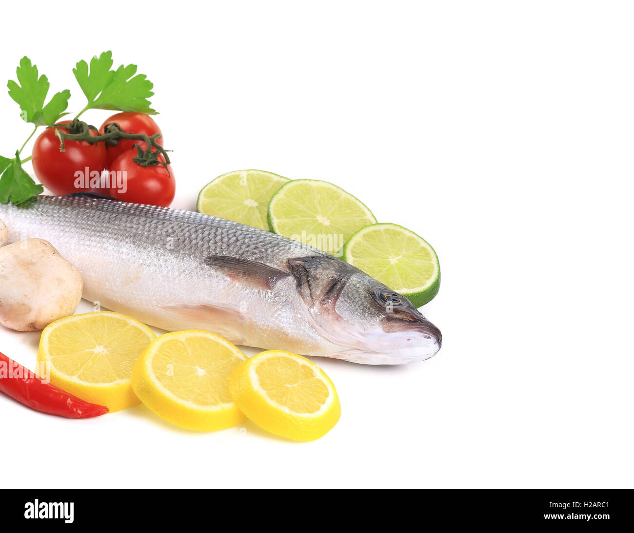 Mackerel eye close up hi-res stock photography and images - Alamy
