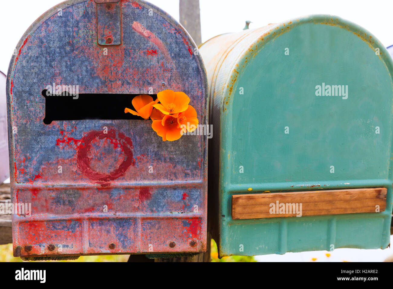 California poppy grunge mailboxes along Pacific Highway Route 1 Stock ...